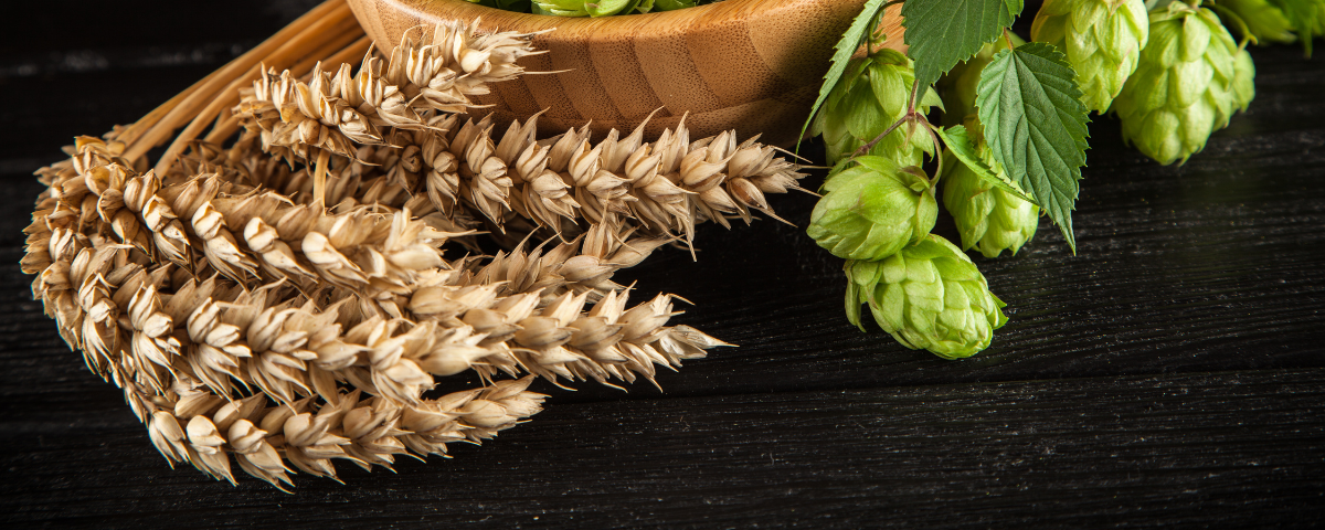 Complete Guide to Malt: Types and Uses – Buy Online at GastronomUSA